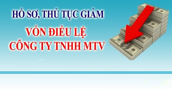 Điều Kiện Giảm Vốn điều Lệ Công Ty Tnhh Mtv Theo Quy định Pháp Luật